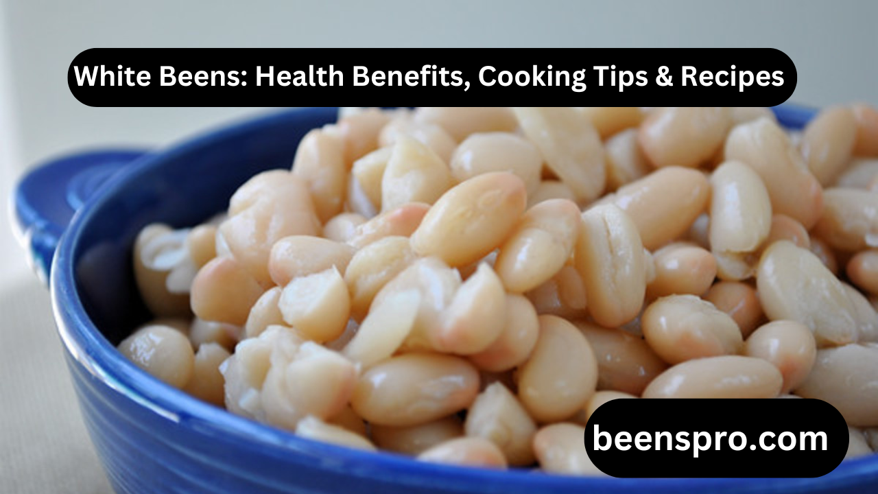 White Beens: Health Benefits, Cooking Tips & Recipes – BEENSPRO