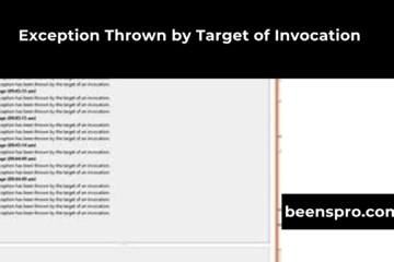 Handling Exception Thrown by Target of Invocation Error - BEENSPRO